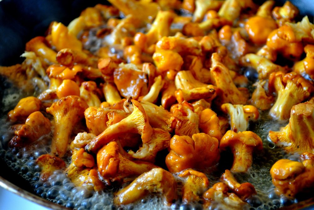 Tocană de gălbiori cu pui și legume — Adi Hădean